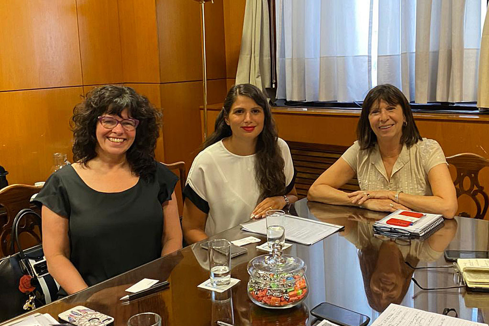 Encuentro con la Subdirectora General de Servicios al Contribuyente de la AFIP | Consejo